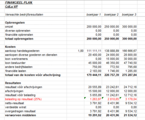 Financieel plan + voorbeeld | cool down level up